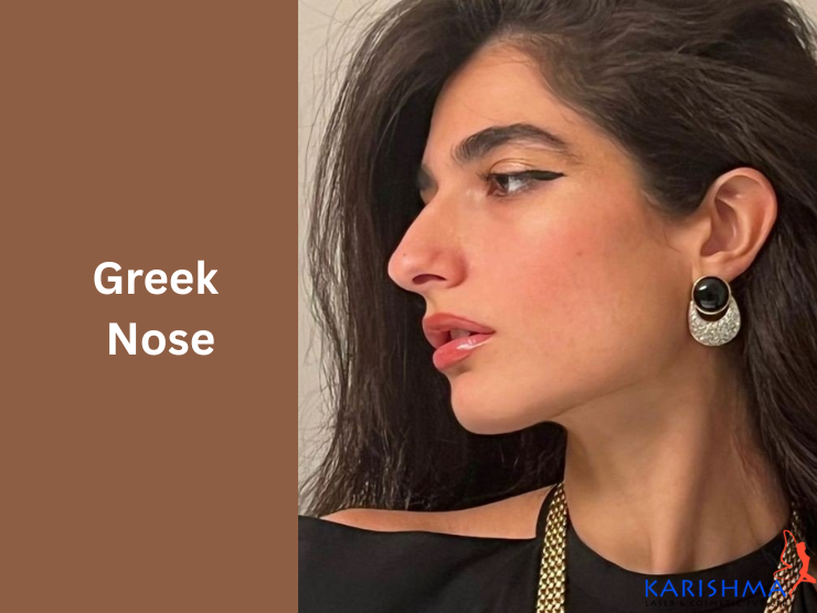 Types Of Noses - How Many Types Of Noses Are There?